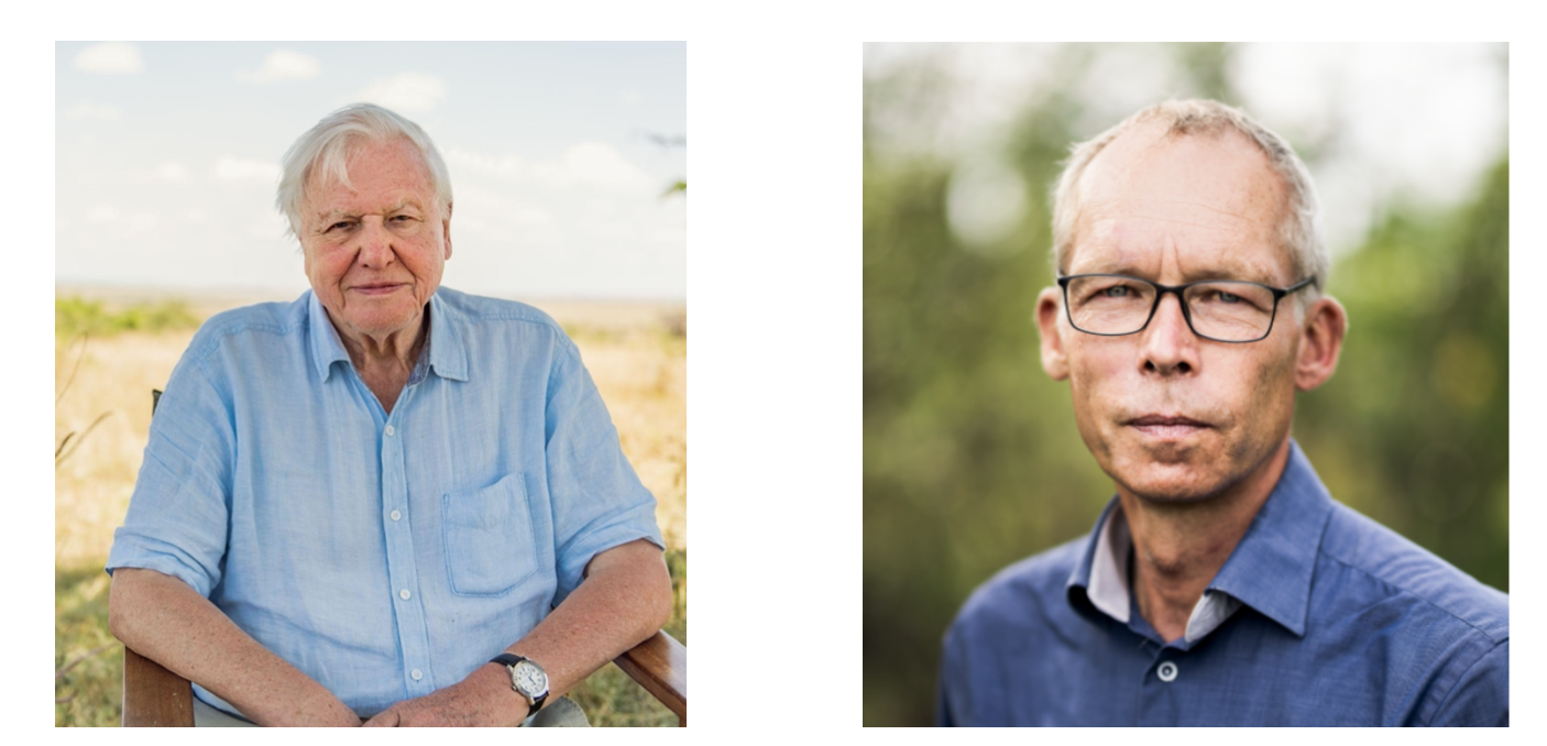 The Long Run | Interview with producers of new feature documentary ...